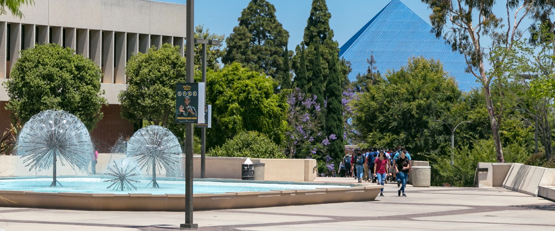 Which California State University is the Best?