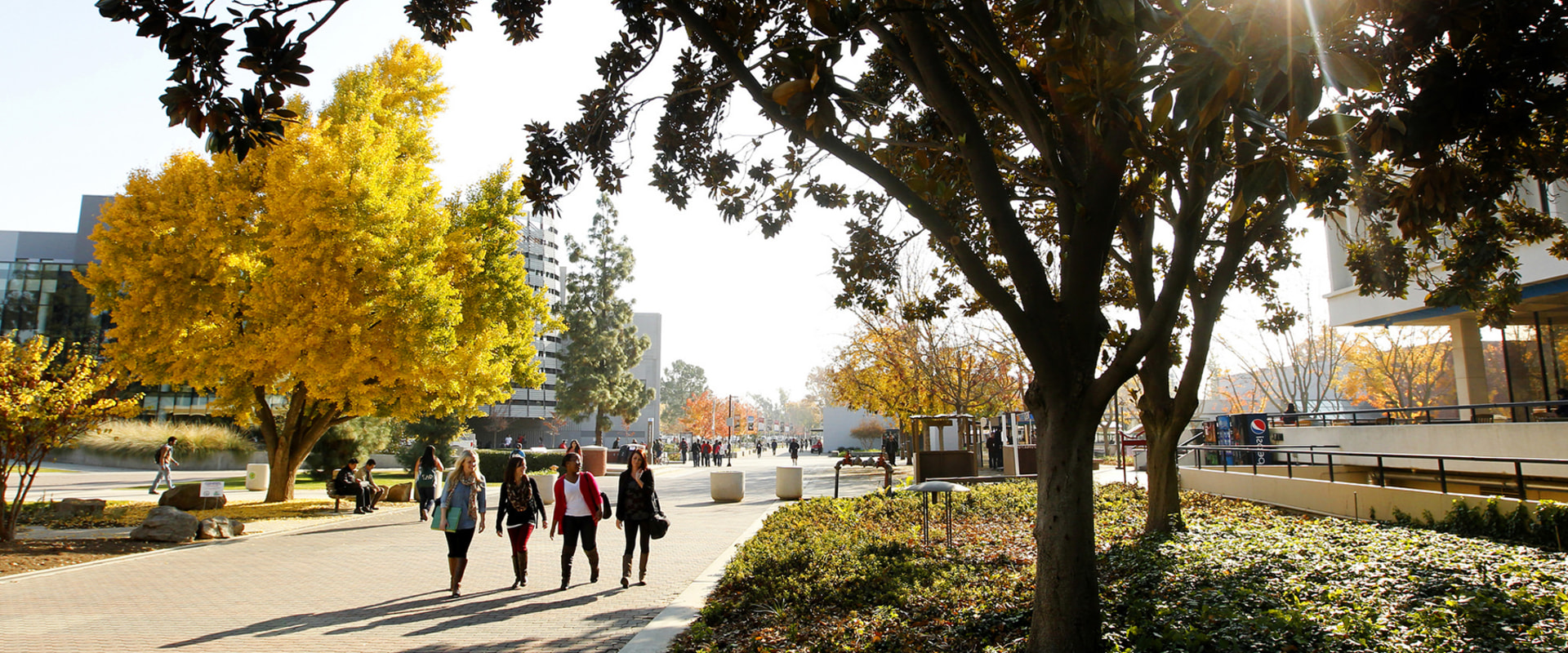 What is the most popular csu?